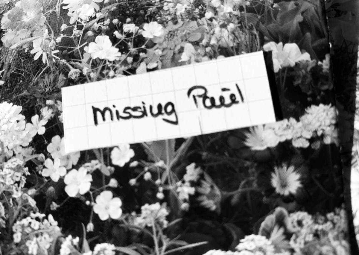 Missing Paul | Mitzi Irsaj